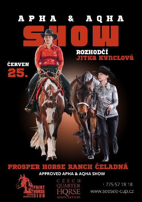 APHA & AQHA Show :: Seesee-cup